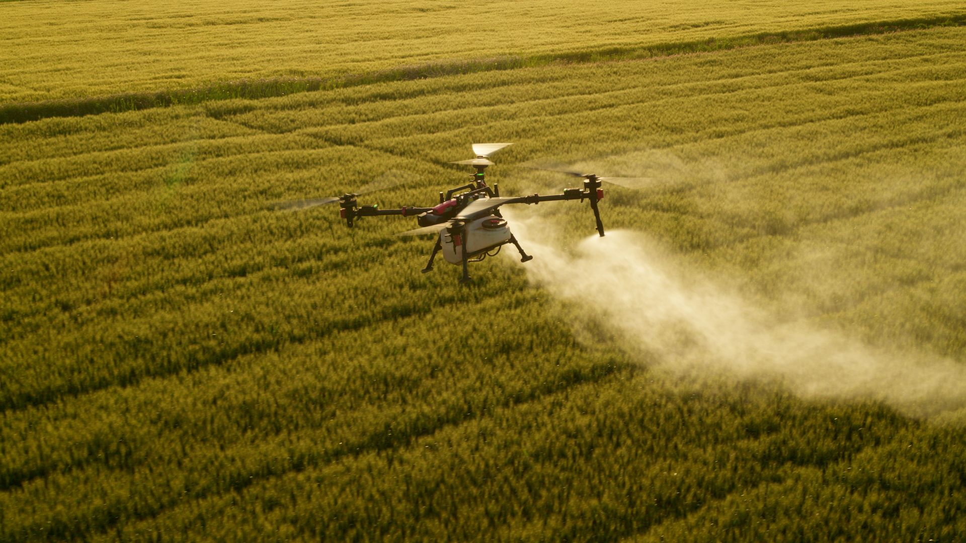 About Us | Raptor Dynamic